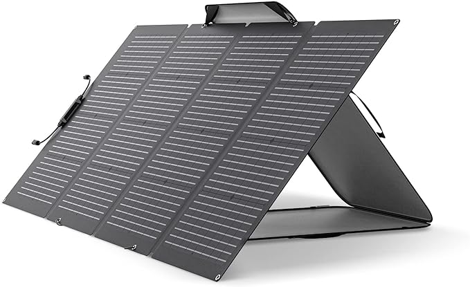 EcoFlow 220W Portable Solar Panel - (SOLAR220W) | Digital Store ...